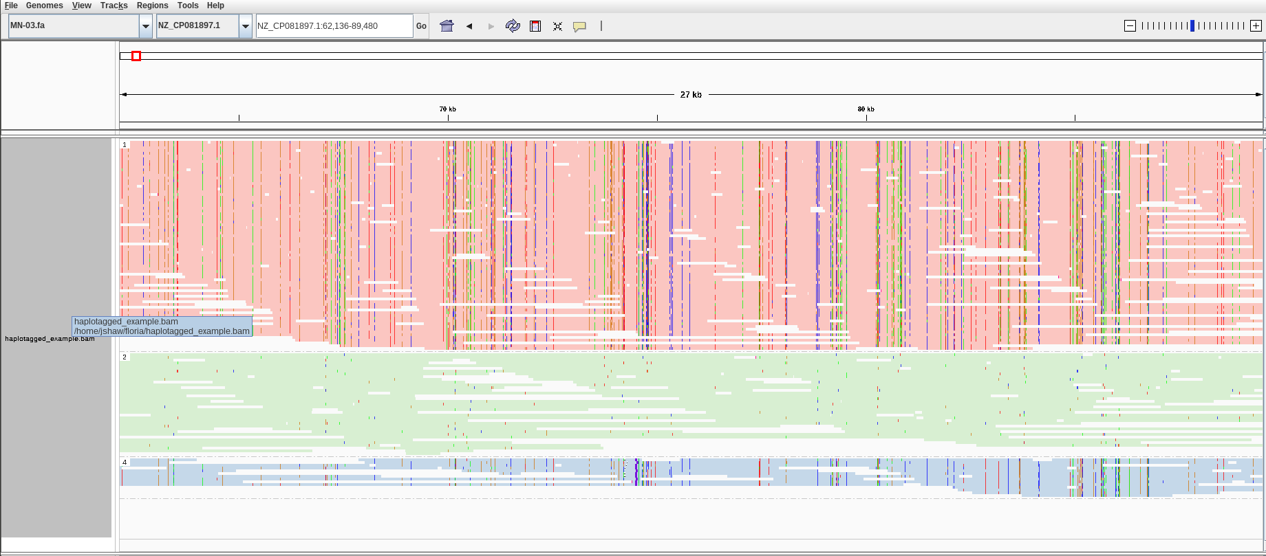 Tutorial 1: running floria and visualizing its outputs — floria 0.1 ...